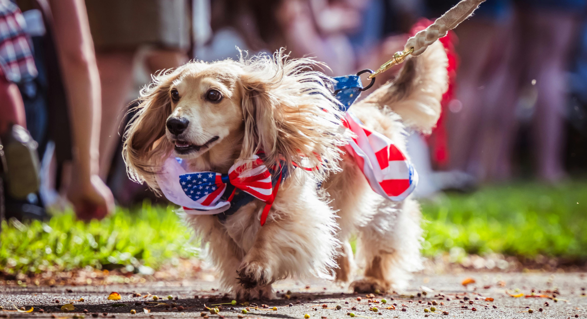 Bend July 4th Pet Parade | Celebrate Independence in Style